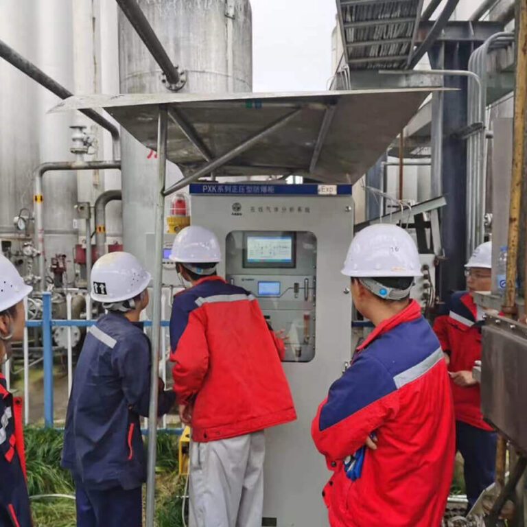 Gas Analyzer Manufacturer | Gas Analysis System | Esegas