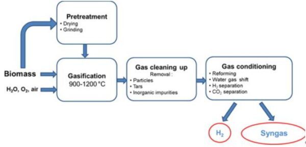 Syngas Analysis in Biomass Gasification – Key Insights