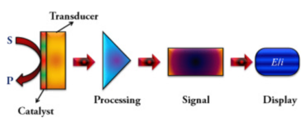 The Role of Gas Analyzers in Exhaust Gas Monitoring